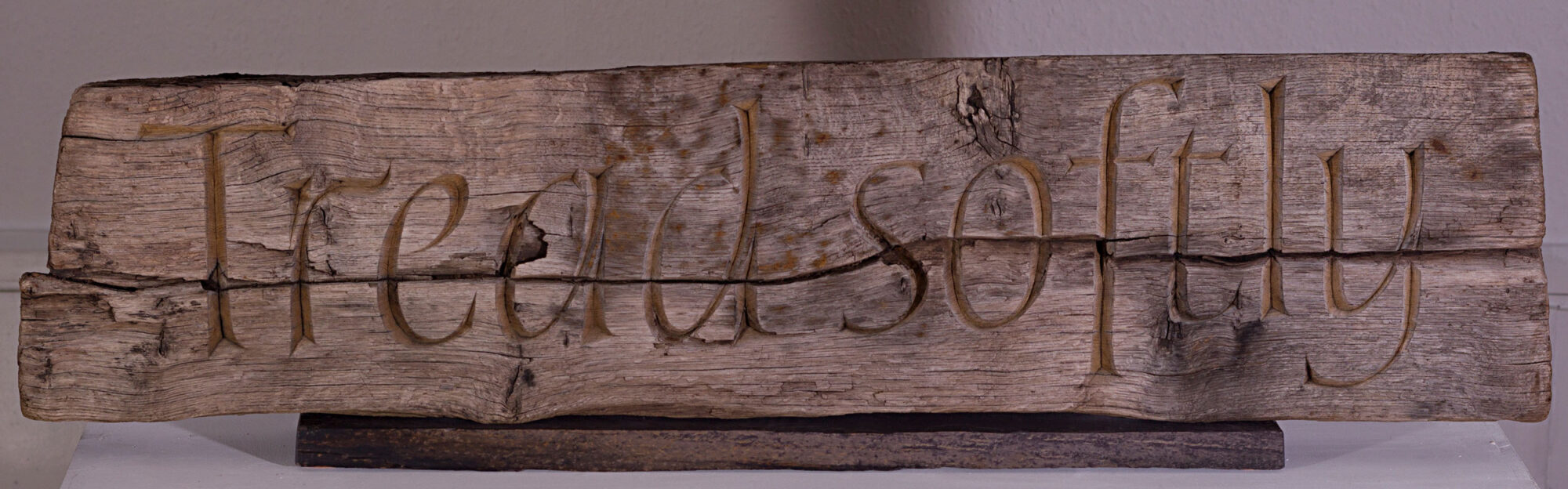 Tread Softly – MOMA Machynlleth