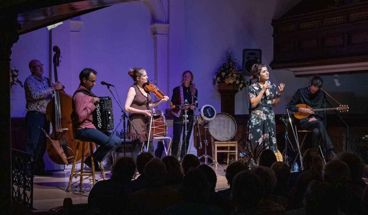 Festival benefactors | MOMA Machynlleth art gallery | Wales