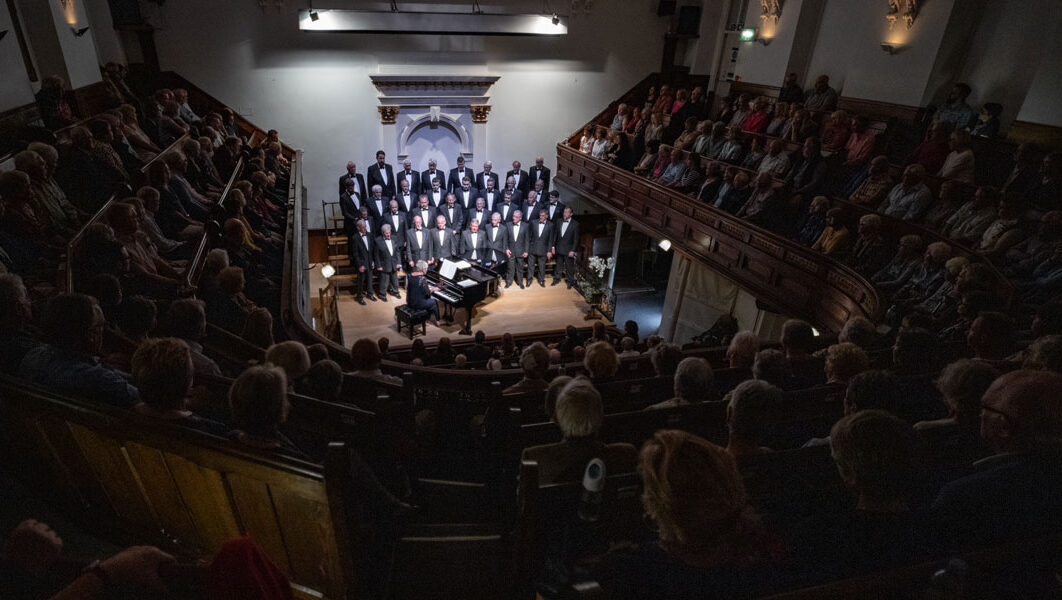 Concerts and events | MOMA Machynlleth art gallery | Wales