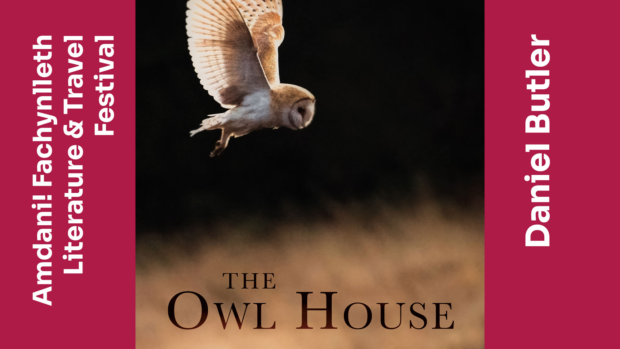 Daniel Butler - MOMA Machynlleth