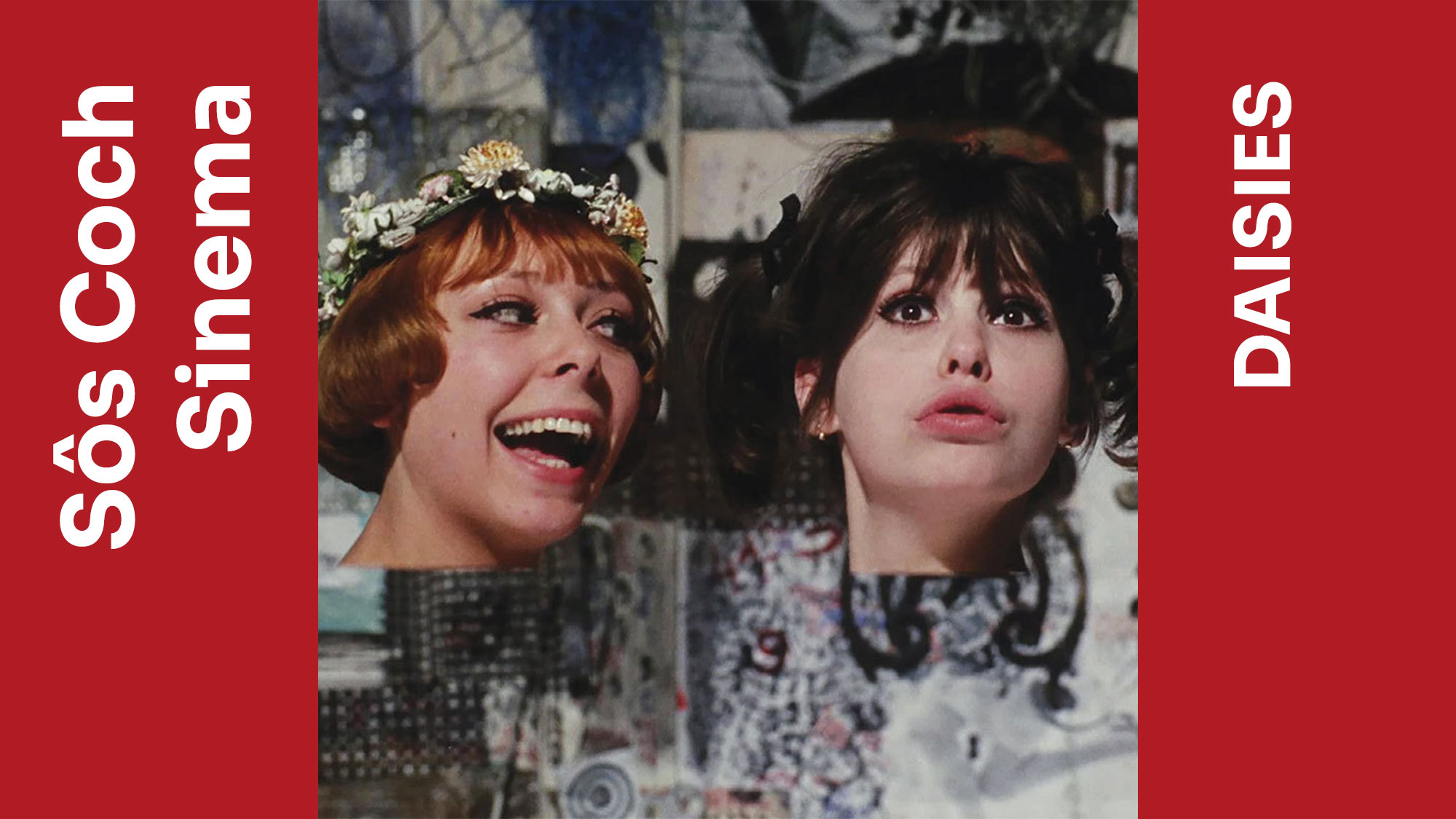 Sôs Coch Sinema: DAISIES - MOMA Machynlleth