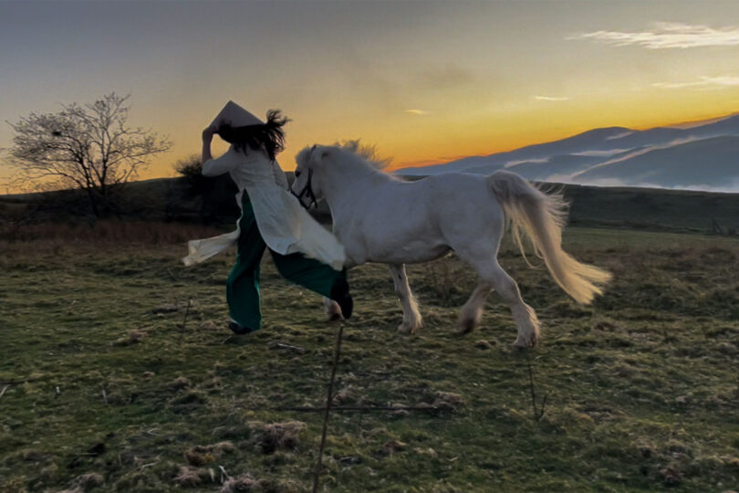 Home | MOMA Machynlleth art gallery | Wales