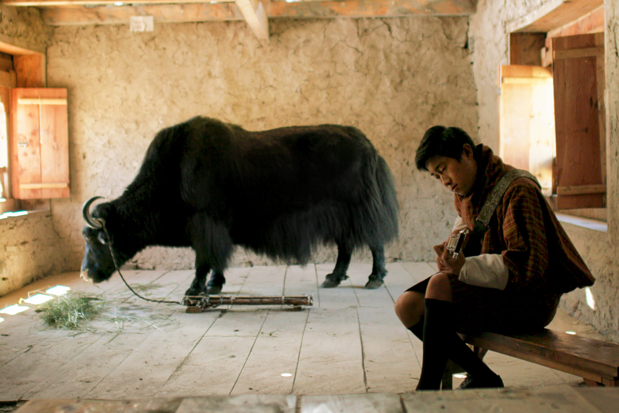 LUNANA: A YAK IN THE CLASSROOM - MOMA Machynlleth