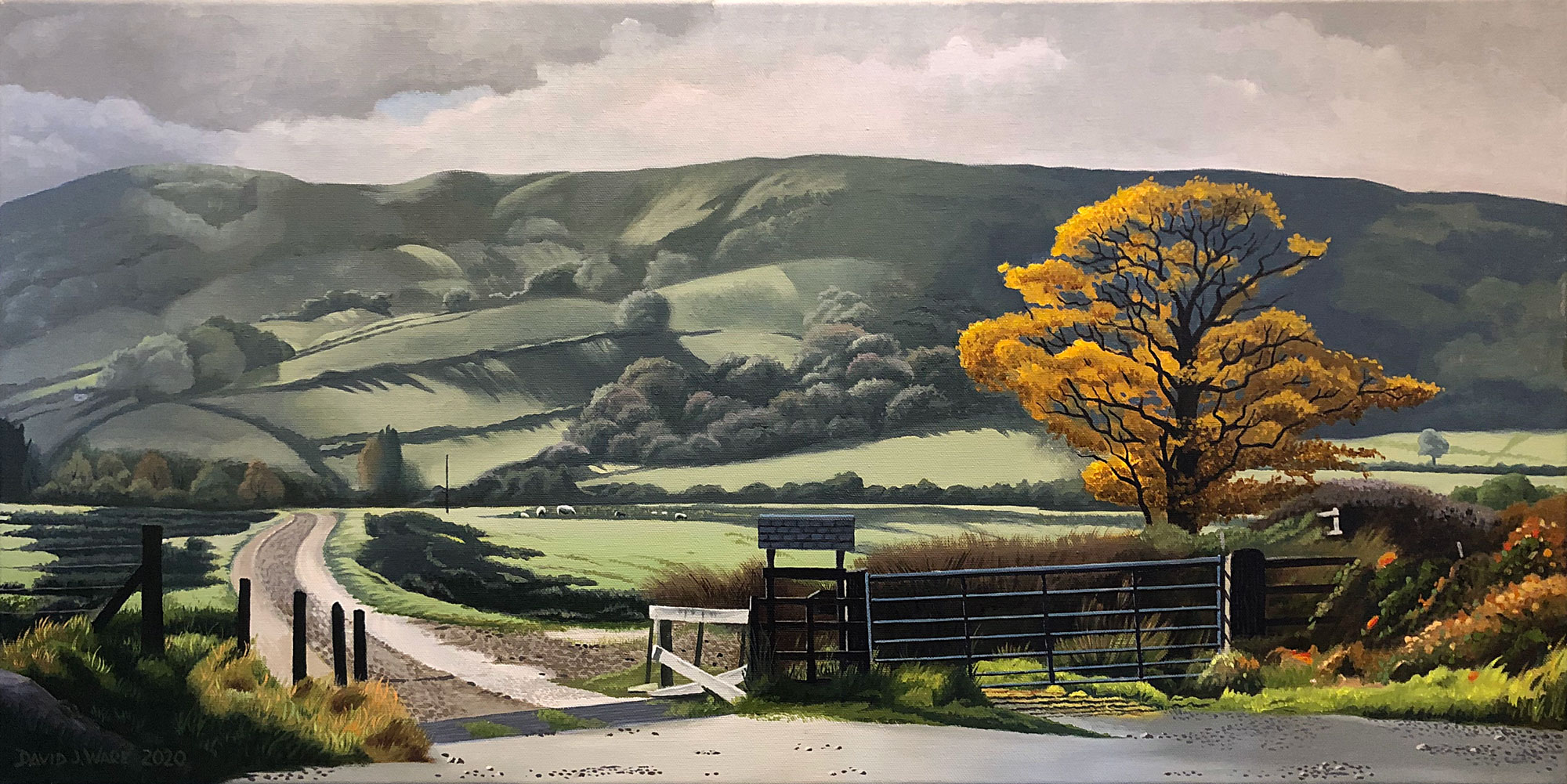 David Ware: Welsh Landscapes through Canadian Eyes - MOMA Machynlleth