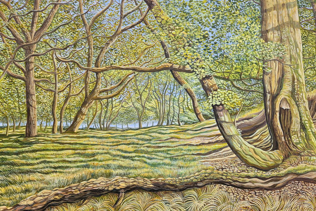 Exhibitions | MOMA Machynlleth art gallery | Wales